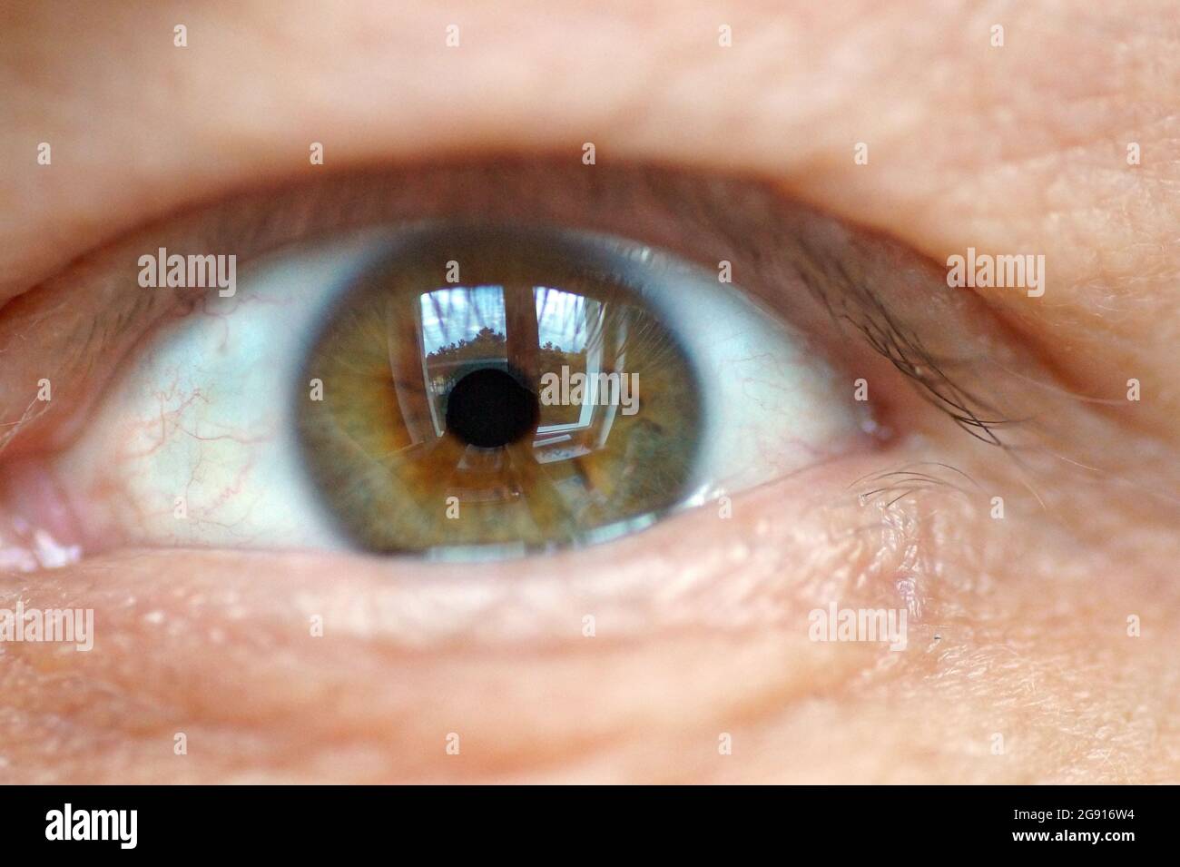Eyelid window hi-res stock photography and images - Alamy