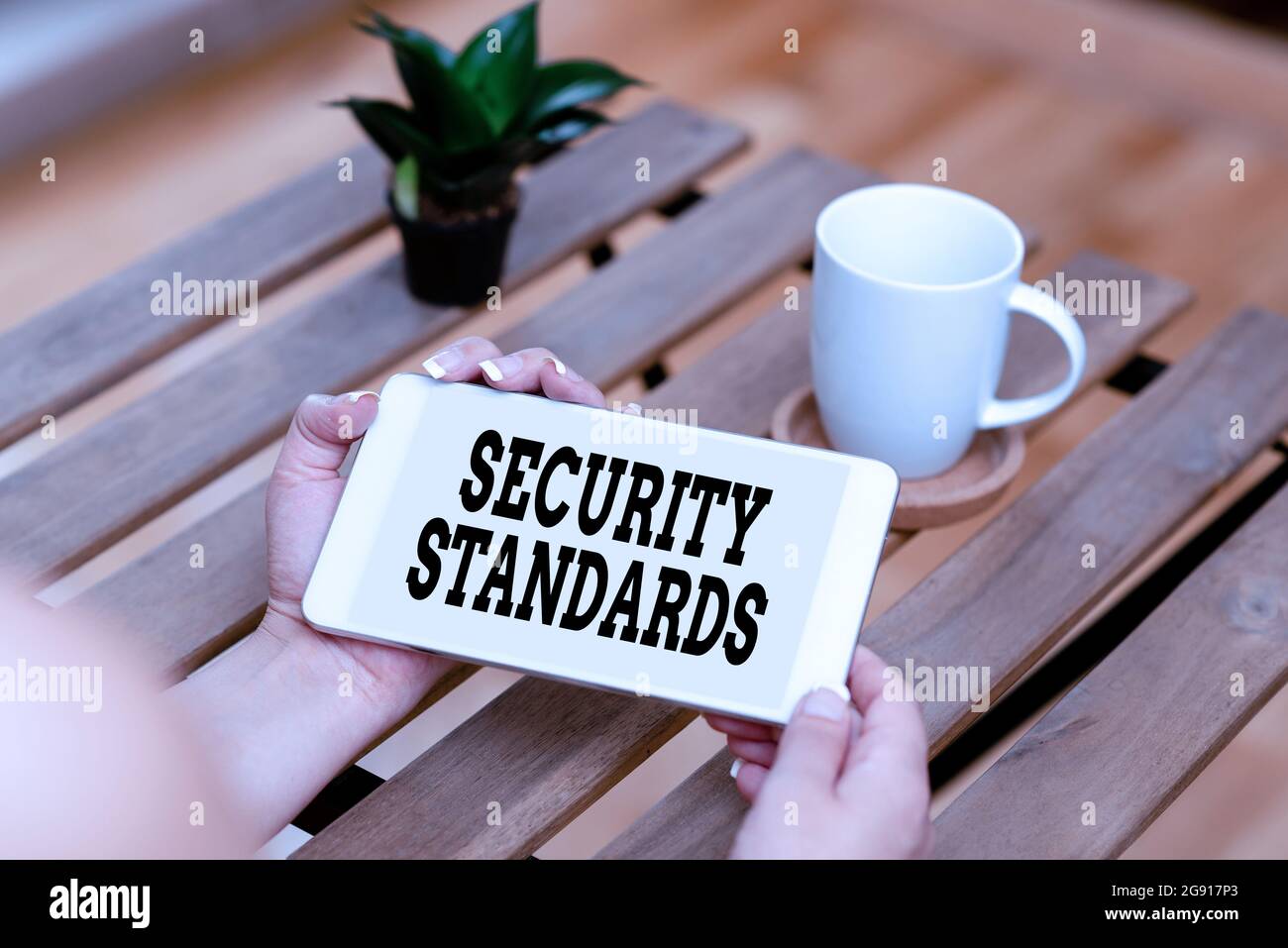 Inspiration Showing Sign Security Standards Business Showcase The Scope Of Security Functions