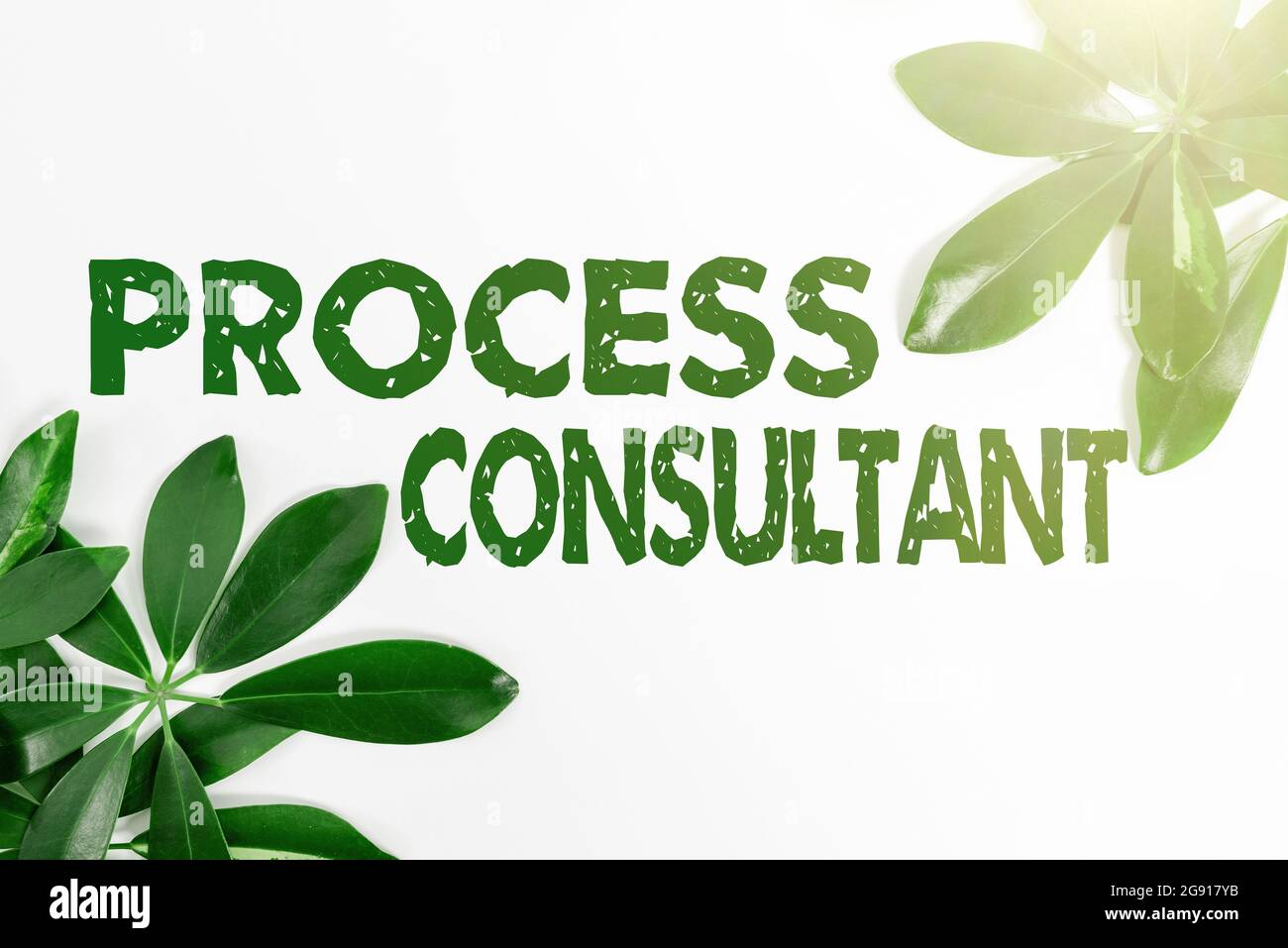 Hand writing sign Process Consultant. Word Written on someone ...