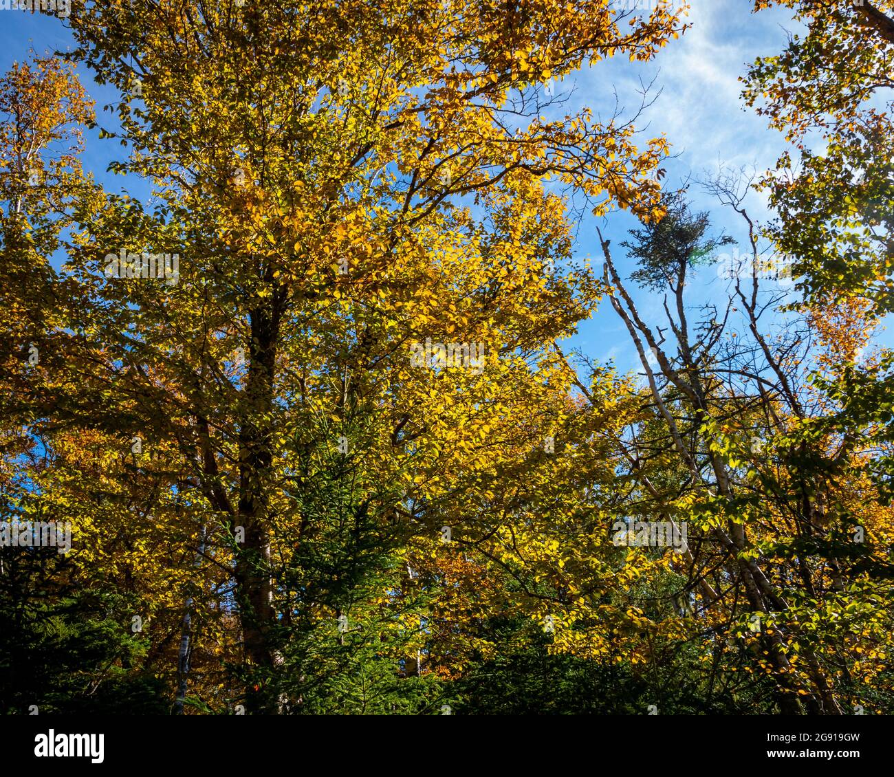 Colours change hi-res stock photography and images - Alamy