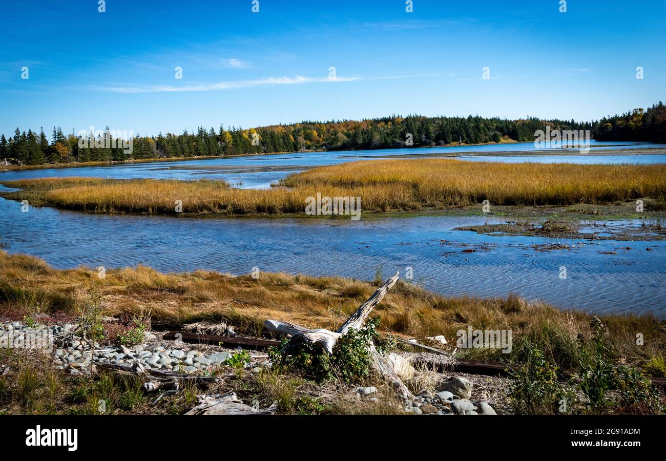 Tidal lagoon hi-res stock photography and images - Alamy