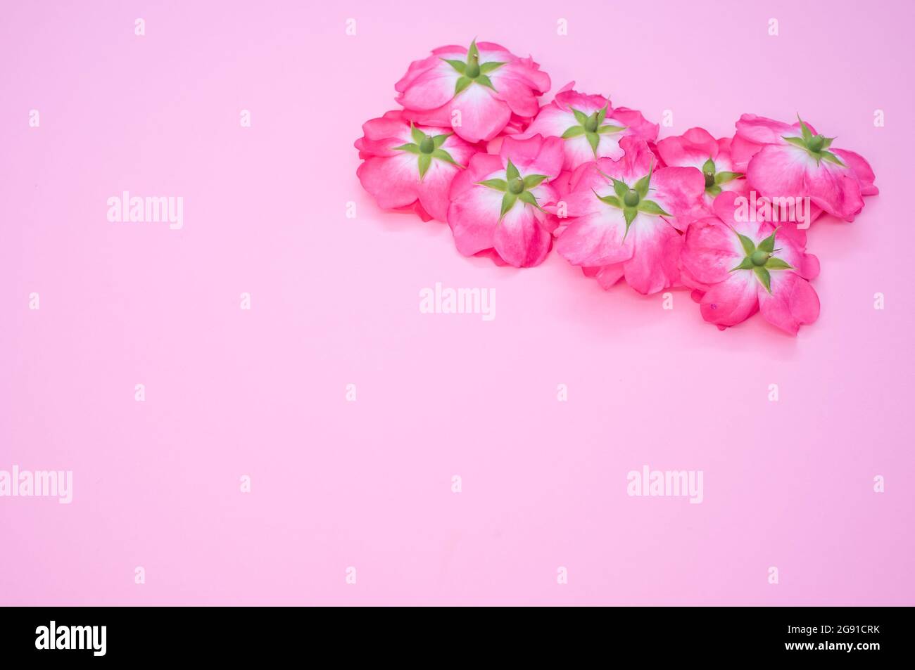 Hungarian roses hi-res stock photography and images - Alamy