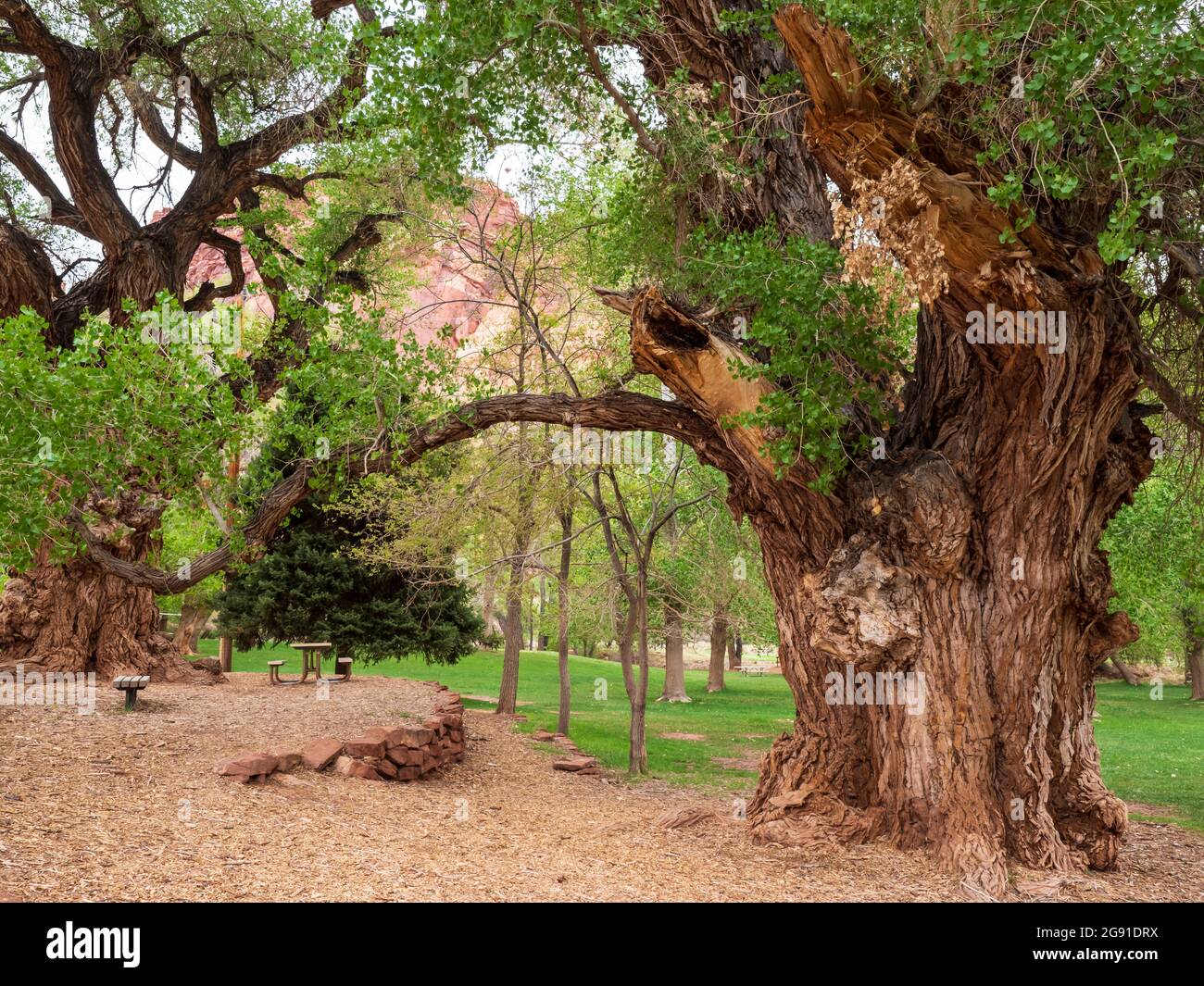 Capital reef national park fremont hi-res stock photography and images ...