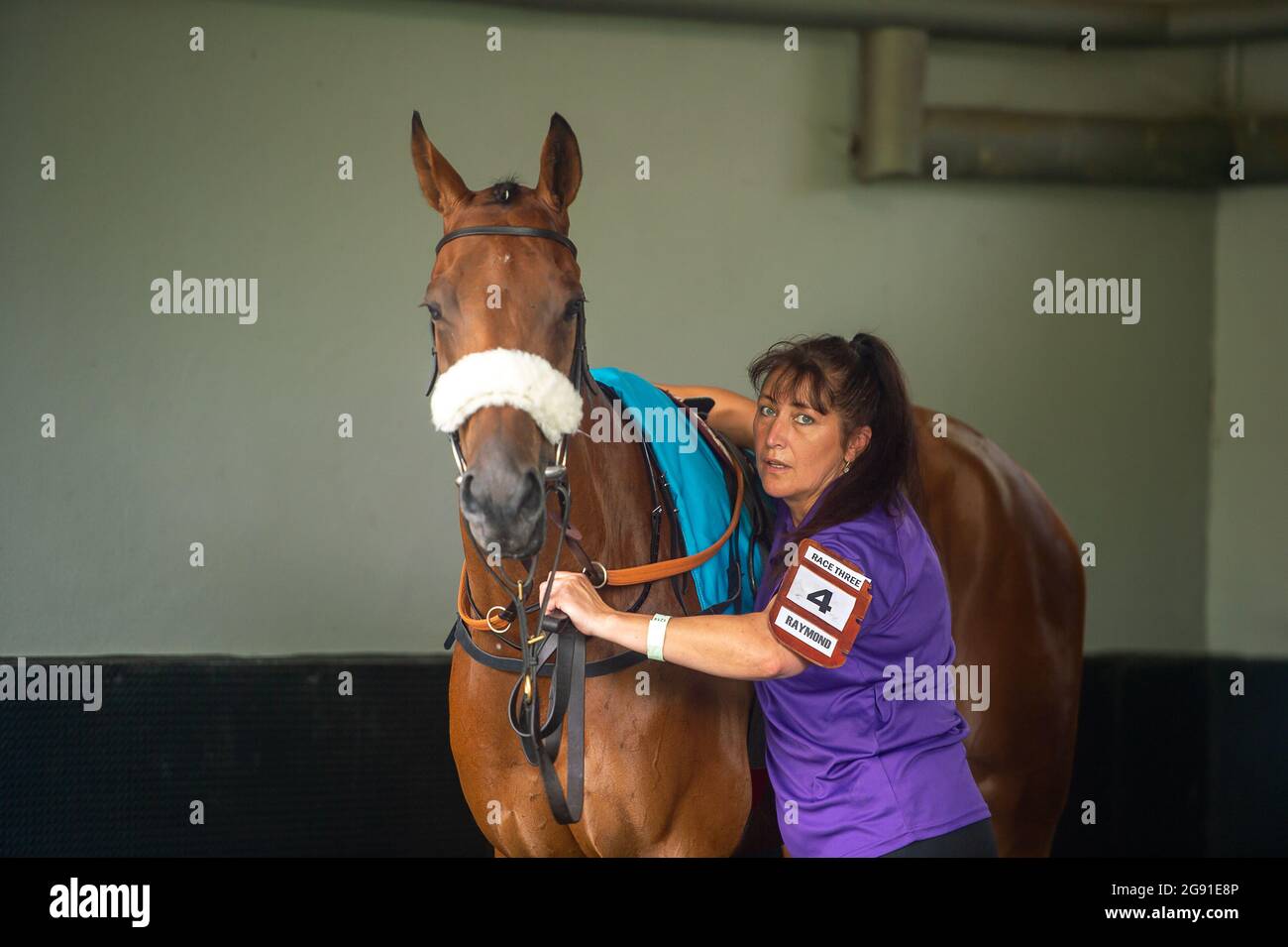 Ascot, Berkshire, UK. 23rd July, 2021. Horse Raymond in the stables ...