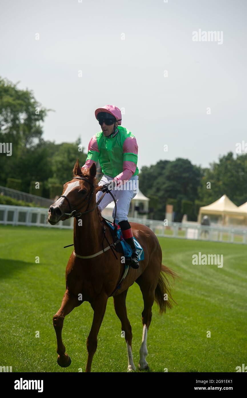 Brown jack ascot hi-res stock photography and images - Alamy