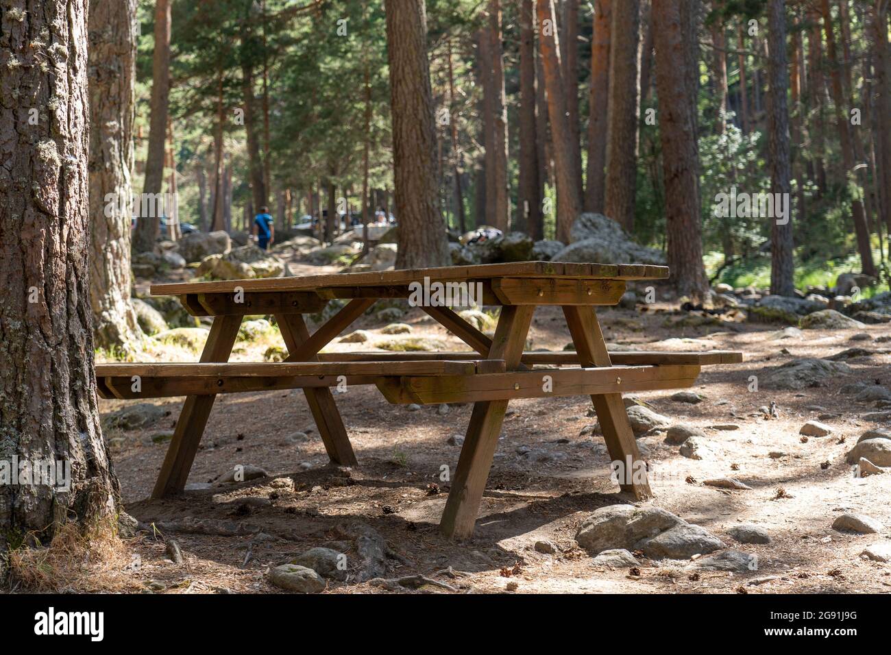 Wooden table with bench in the forest Stock Photo - Alamy