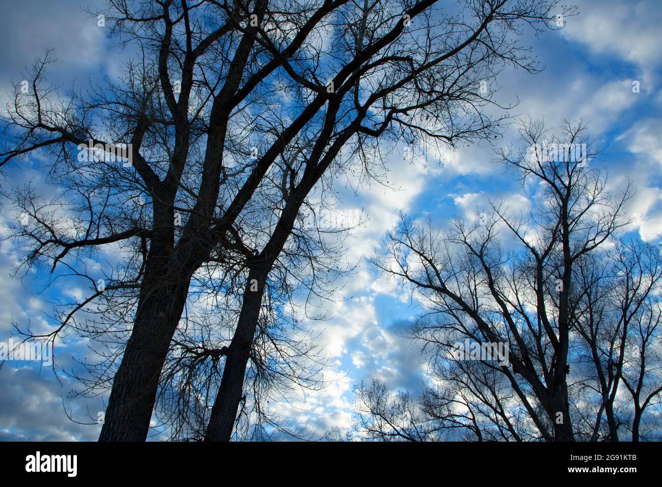 South park open space hi-res stock photography and images - Alamy