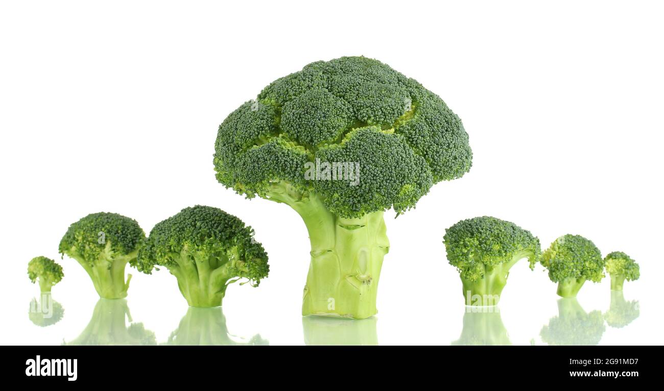 Fresh broccoli in line isolated on white Stock Photo - Alamy