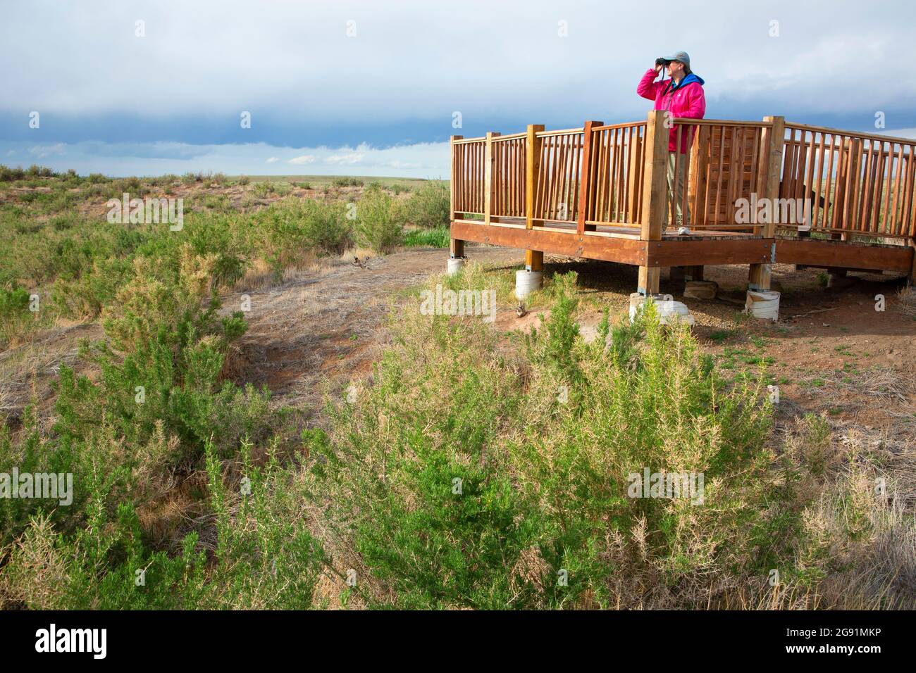 Wildlife observation hi-res stock photography and images - Alamy