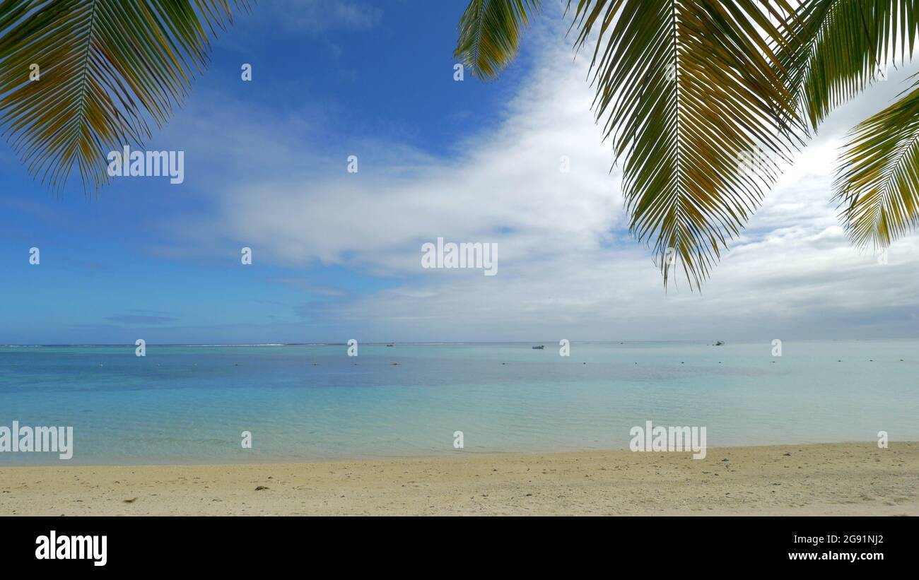 Ocean skyline, beach and palm branches Stock Photo - Alamy