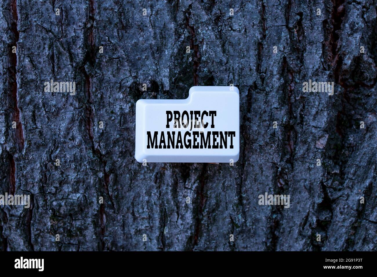Inspiration showing sign Project Management. Concept meaning method of ...