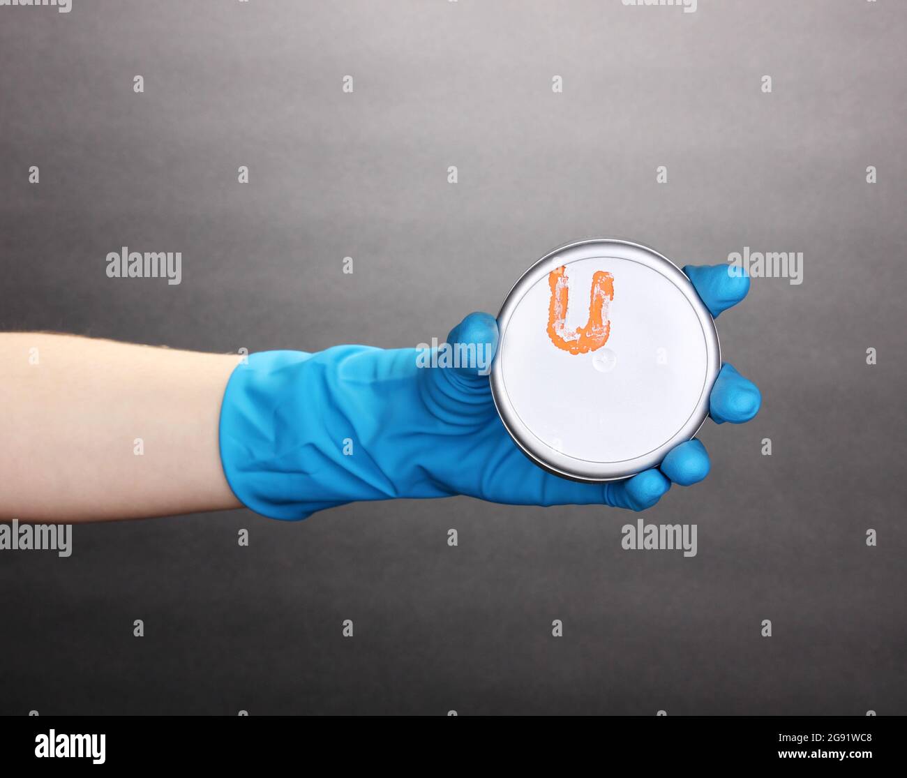 Uranium in hand on grey background Stock Photo - Alamy