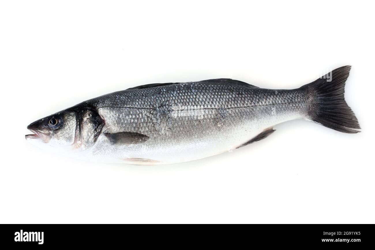 Fresh fish isolated on white Stock Photo - Alamy