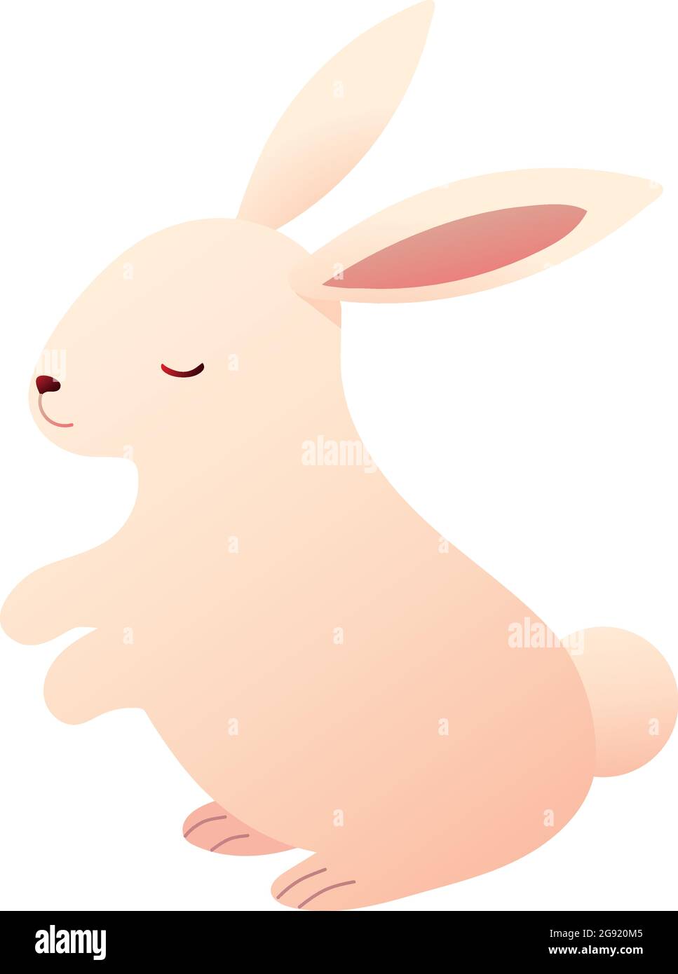 Curious small fluffy rabbit white Cut Out Stock Images & Pictures - Alamy