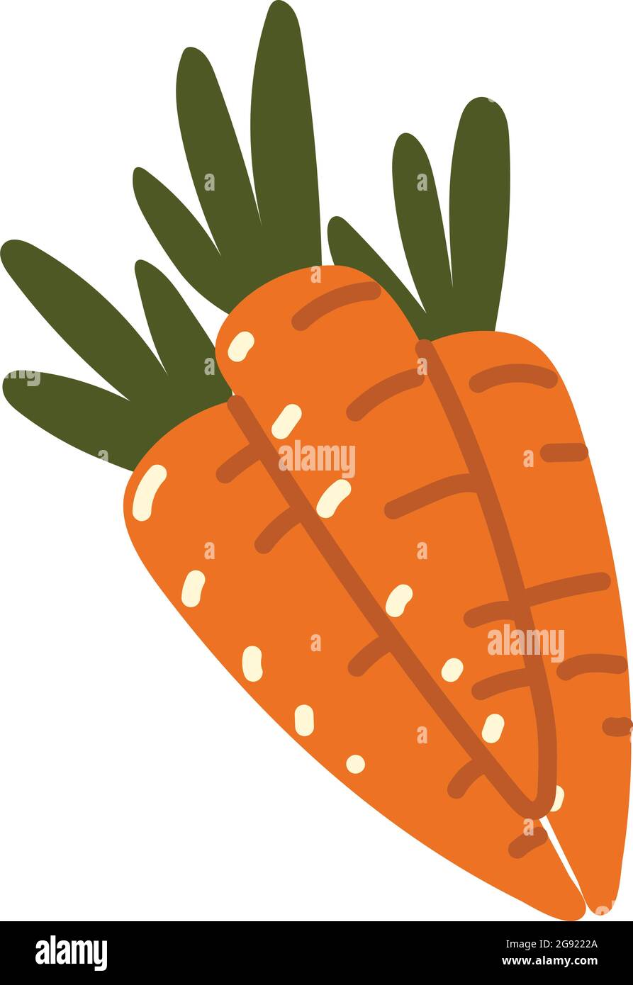 Bunch of carrots illustration Stock Vector Images - Alamy