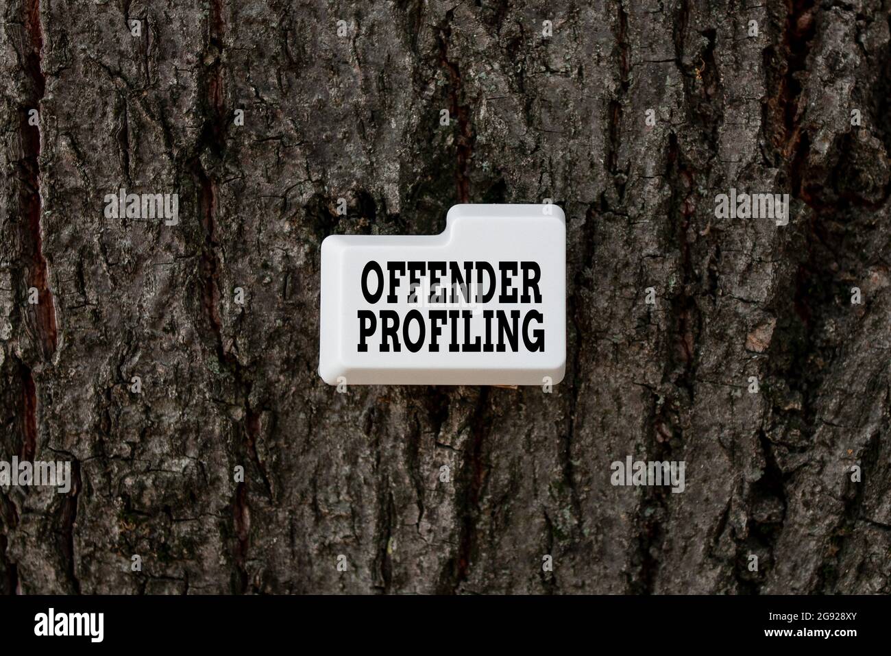 Conceptual caption Offender Profiling. Business overview Develop ...