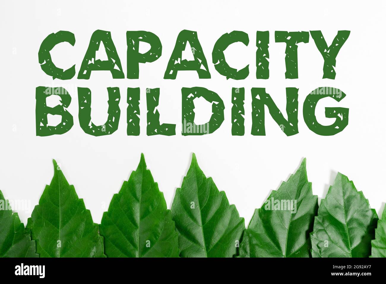 Writing displaying text Capacity Building. Business idea Strengthen the ...