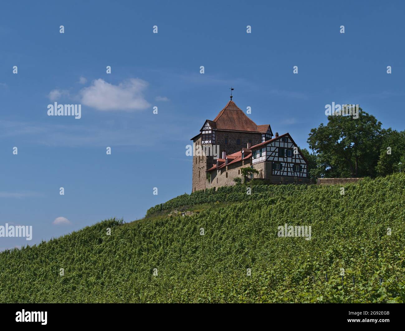 Beautiful view of historic medieval castle Burg Wildeck in Baden ...