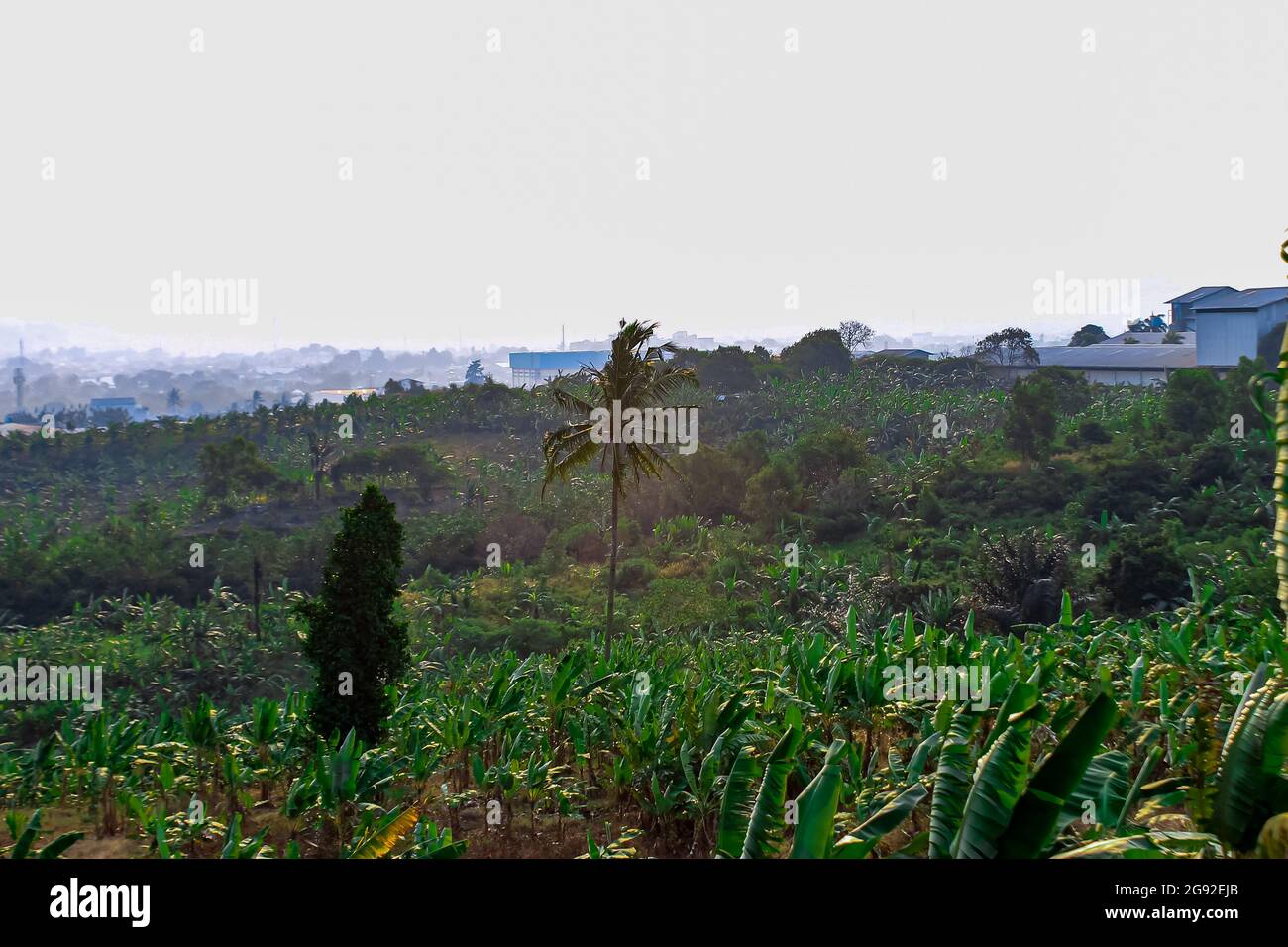 The surrounding view from the top of the hill Stock Photo - Alamy