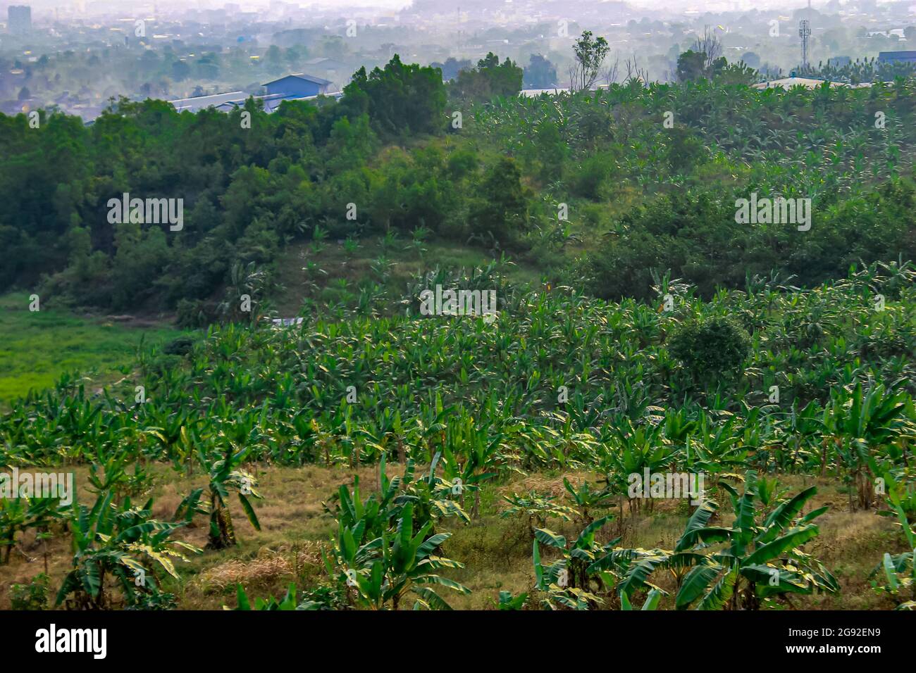The surrounding view from the top of the hill Stock Photo - Alamy