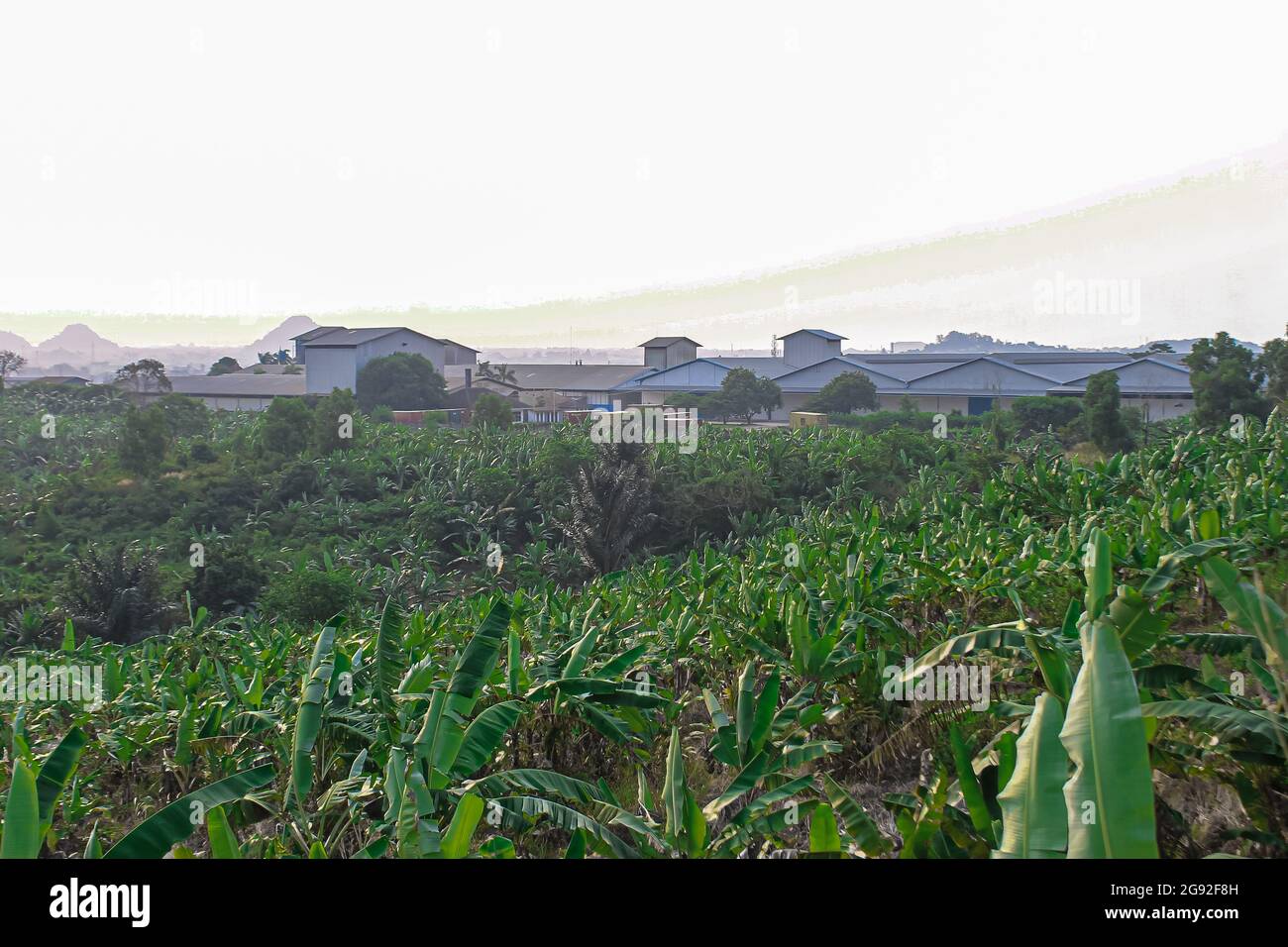 The surrounding view from the top of the hill Stock Photo - Alamy