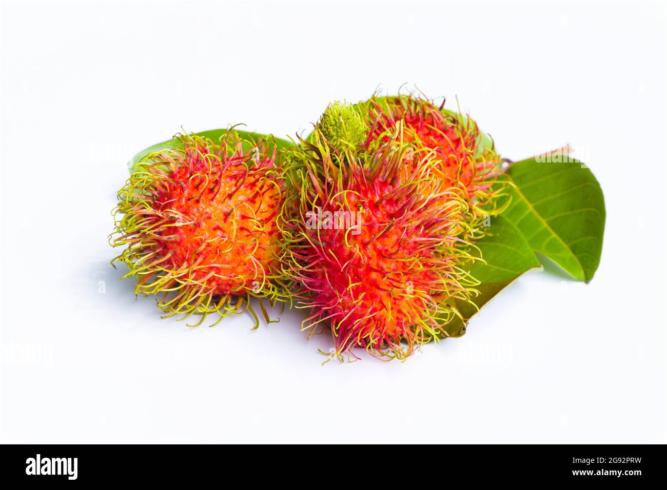 Red and yellow rambutan fruit and its leaves, macro isolated on white ...