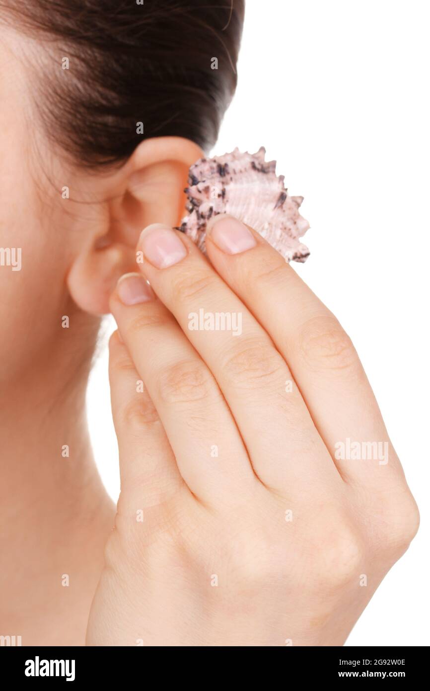 Human ear and shell close-up isolated on white Stock Photo - Alamy