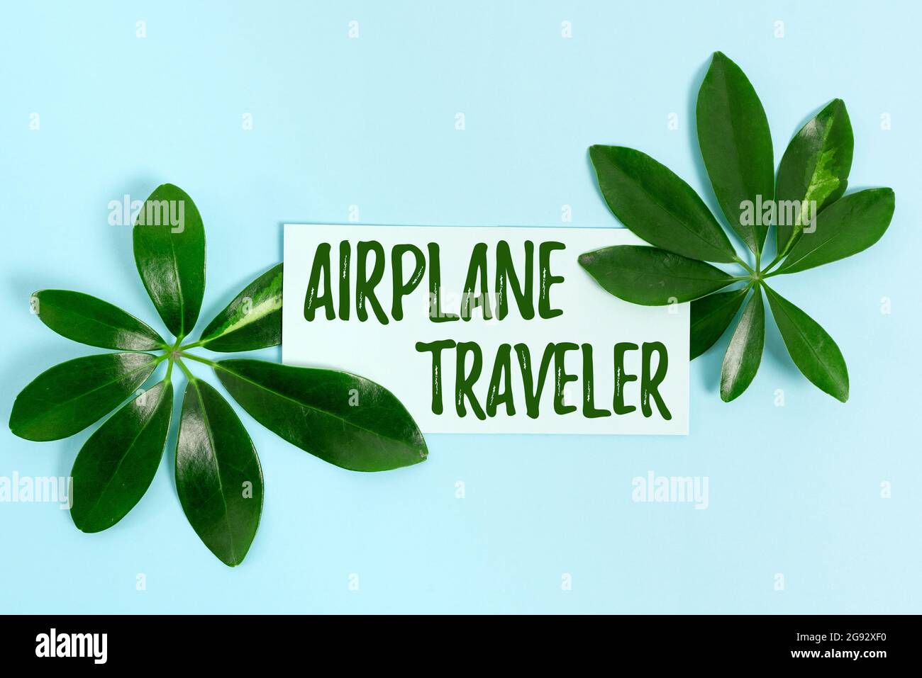 Writing displaying text Airplane Traveler. Word for the action or ...