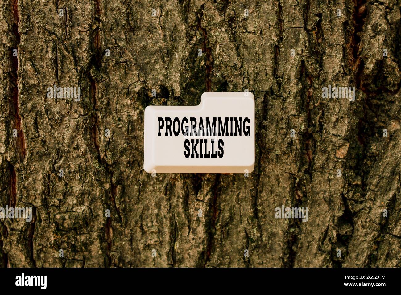 Text Caption Presenting Programming Skills Concept Meaning Skills Vital To Write A Program So 