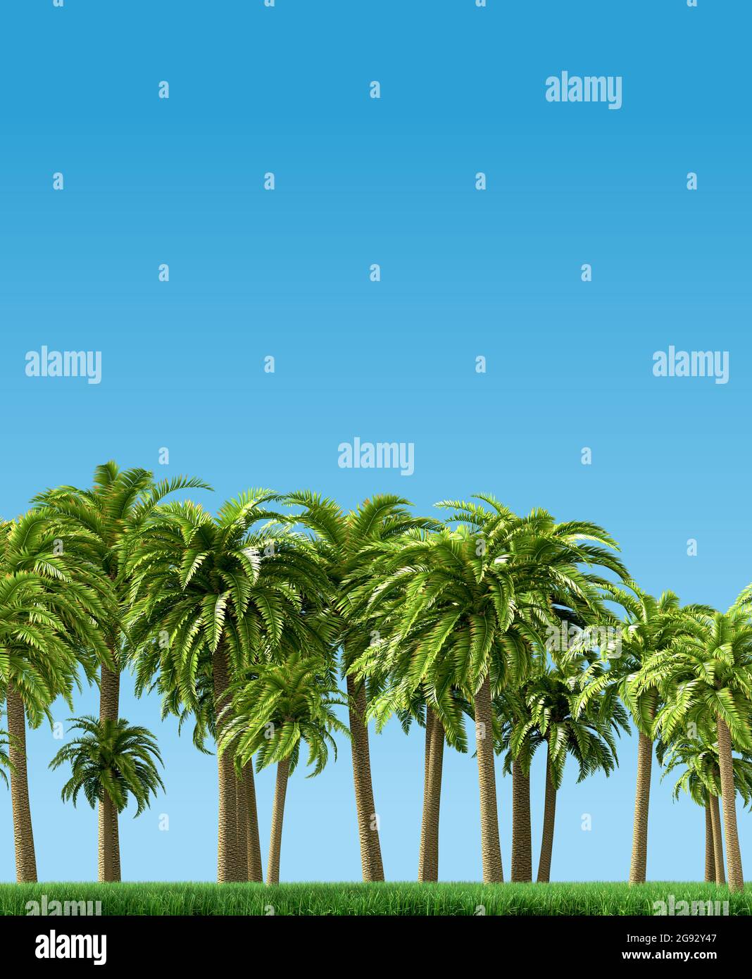 3d island palm trees hi-res stock photography and images - Alamy