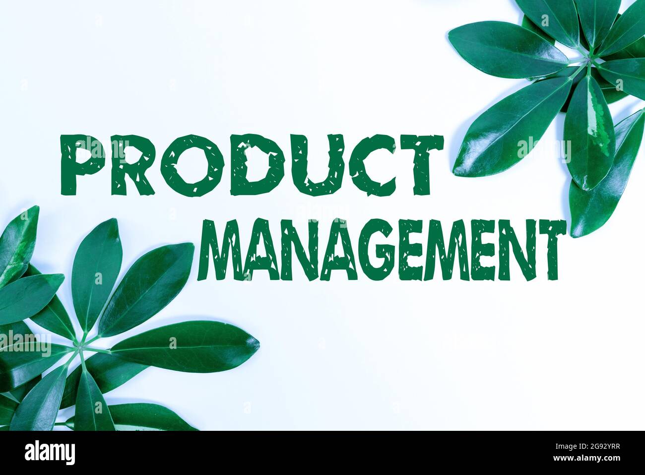 Lifecycle analysis hi-res stock photography and images - Alamy