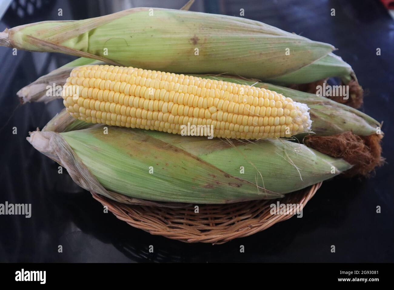 fresh harvest corn cob Stock Photo - Alamy