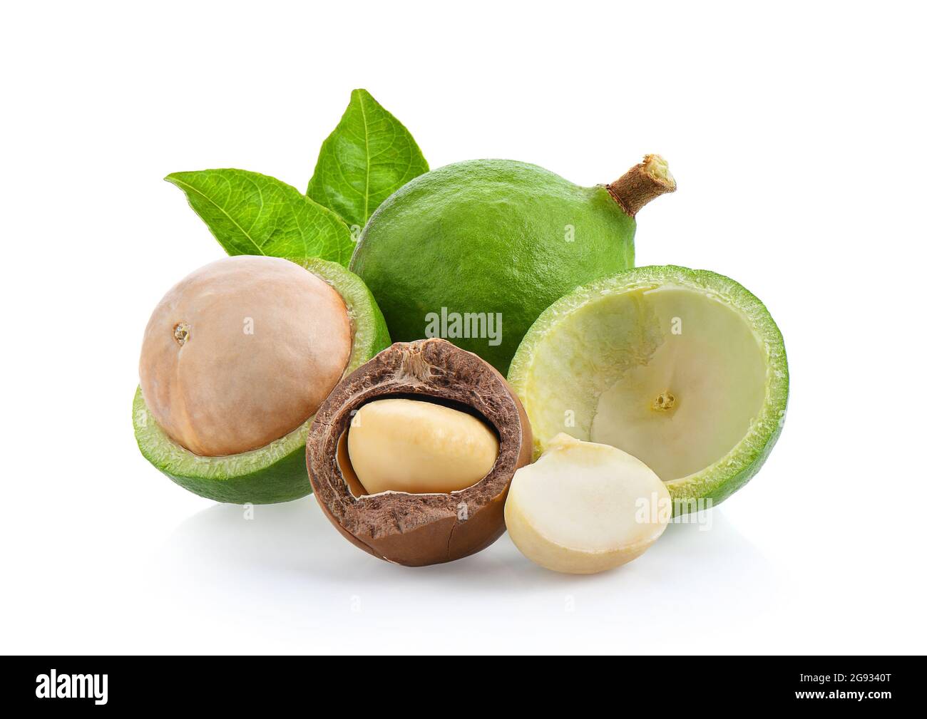 macadamia nuts isolated on white background Stock Photo - Alamy