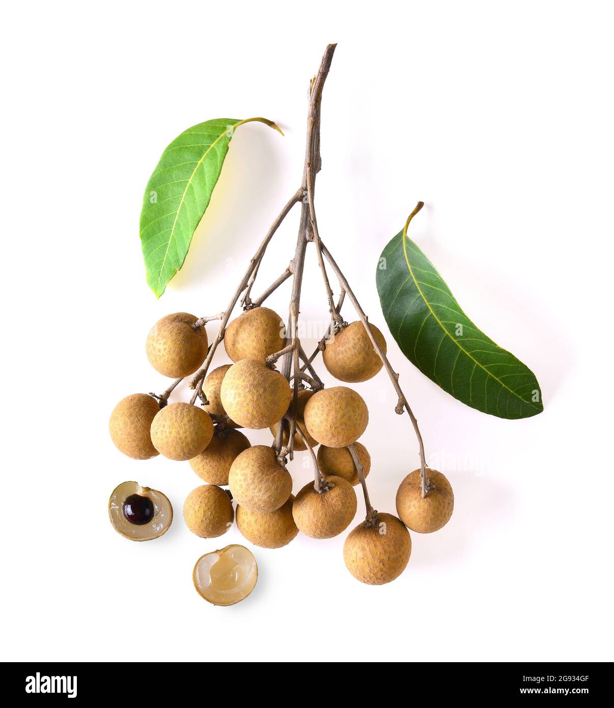 longan sweet fruit on white background Stock Photo - Alamy