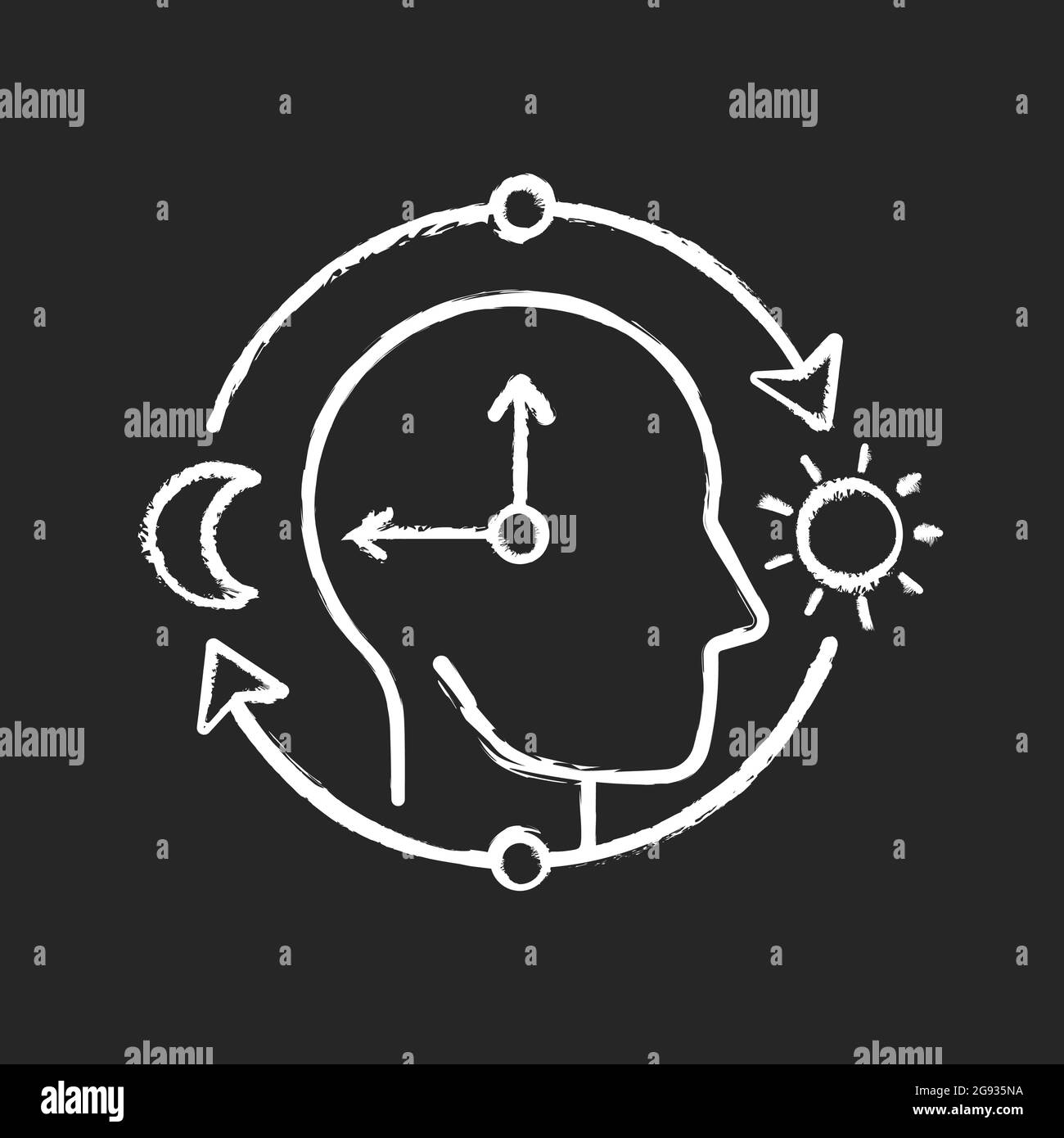 Illustration circadian rhythm Black and White Stock Photos & Images - Alamy