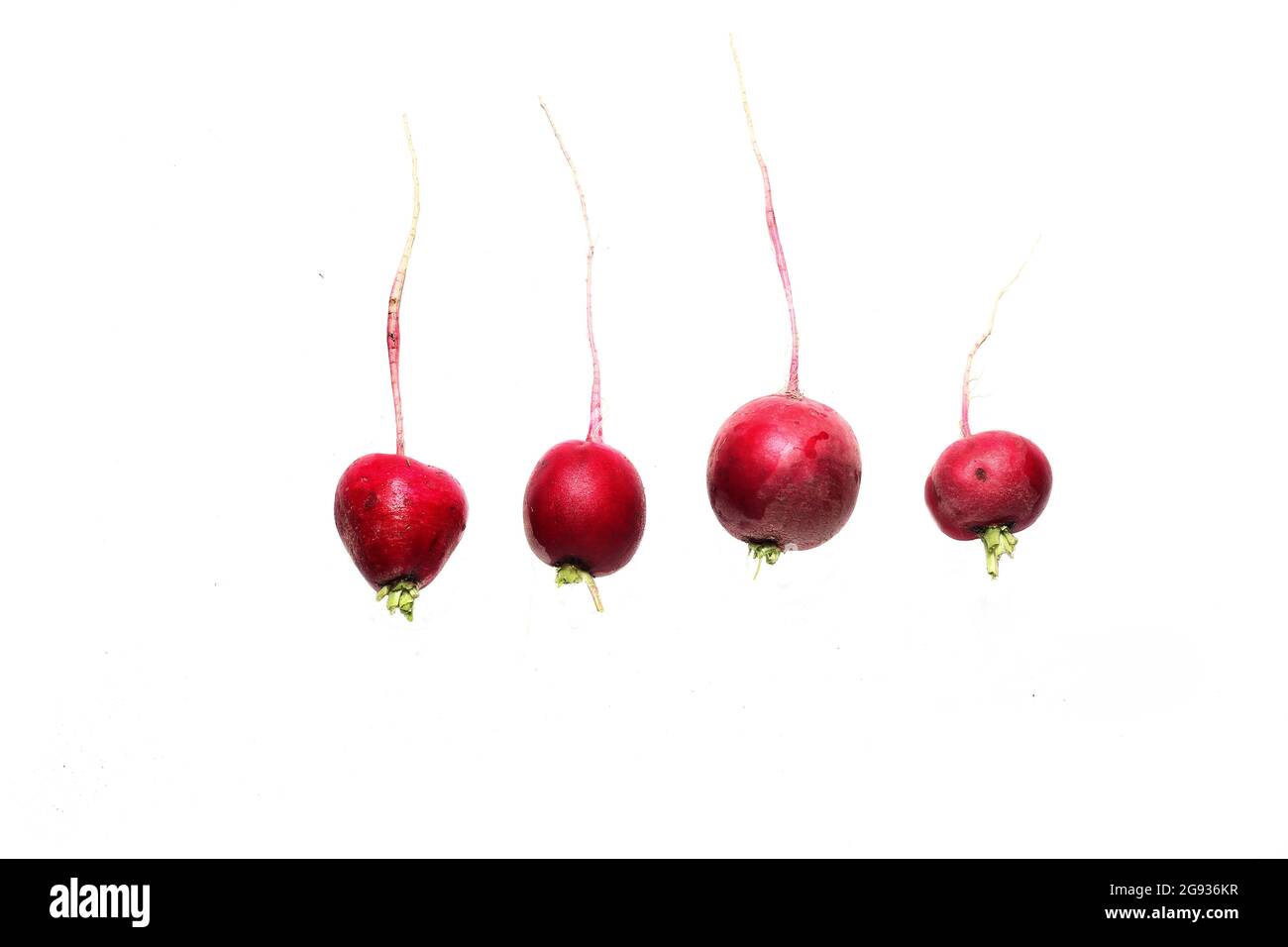 Lay out of garden Cut Out Stock Images & Pictures - Alamy