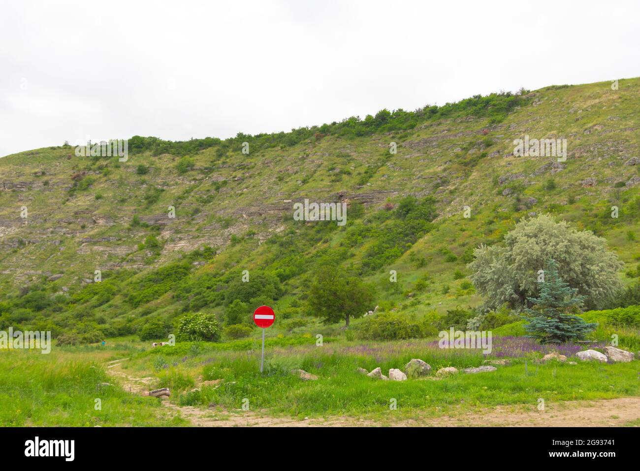 Stop sign on landscape field in front of a hill Stock Photo - Alamy