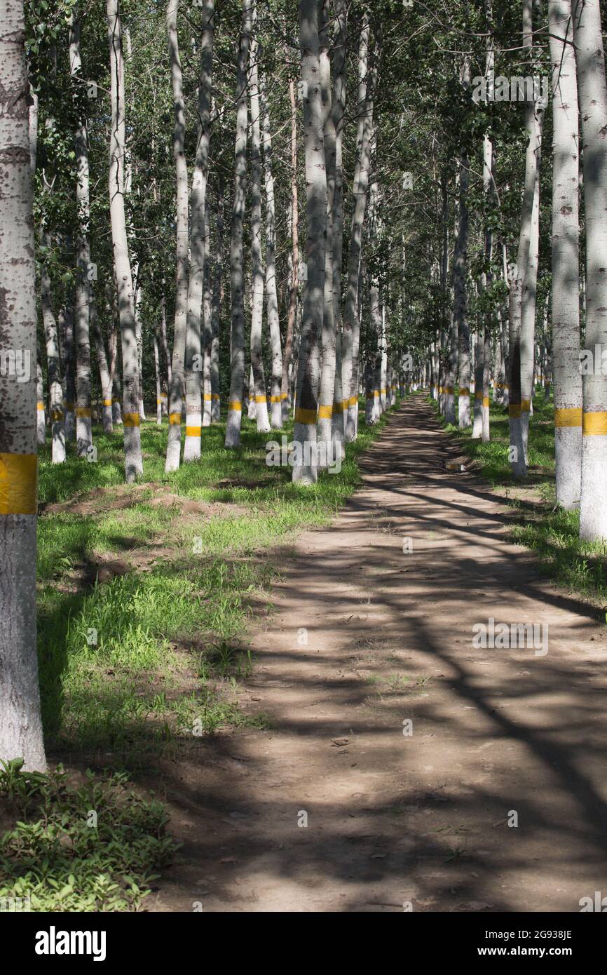 Wenyu river hi-res stock photography and images - Alamy