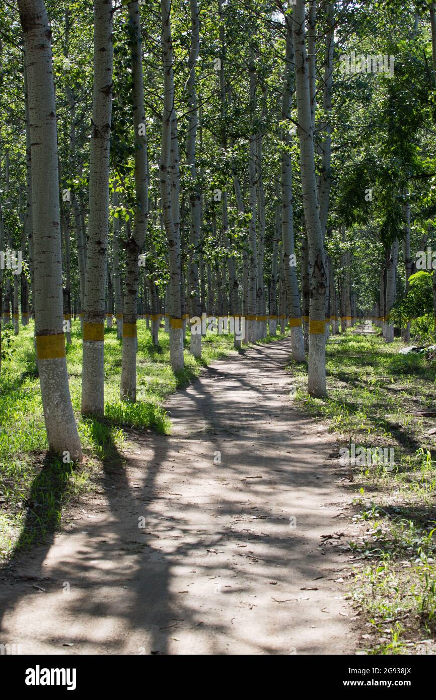 Wenyu river hi-res stock photography and images - Alamy
