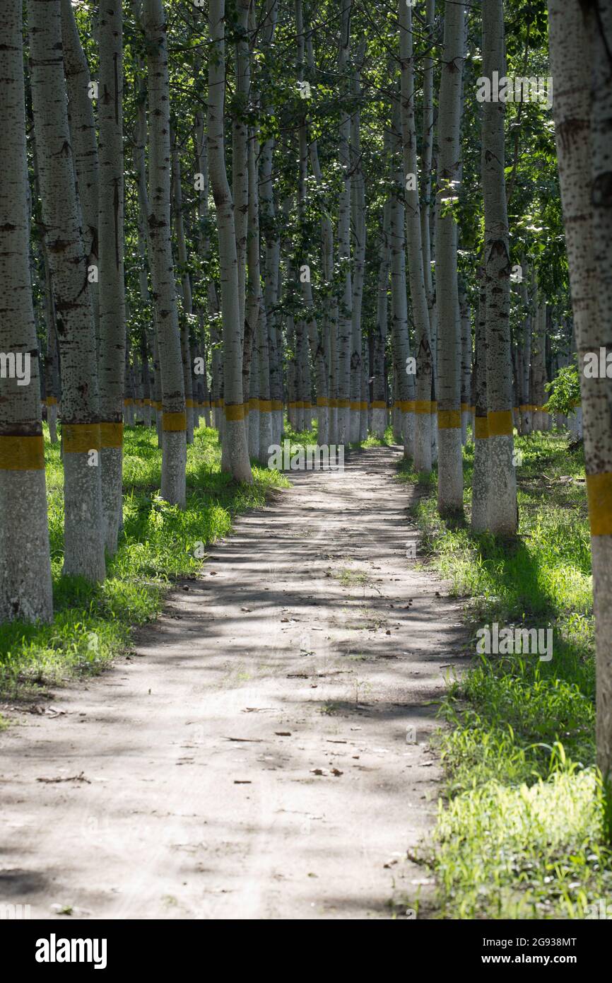 Wenyu river hi-res stock photography and images - Alamy