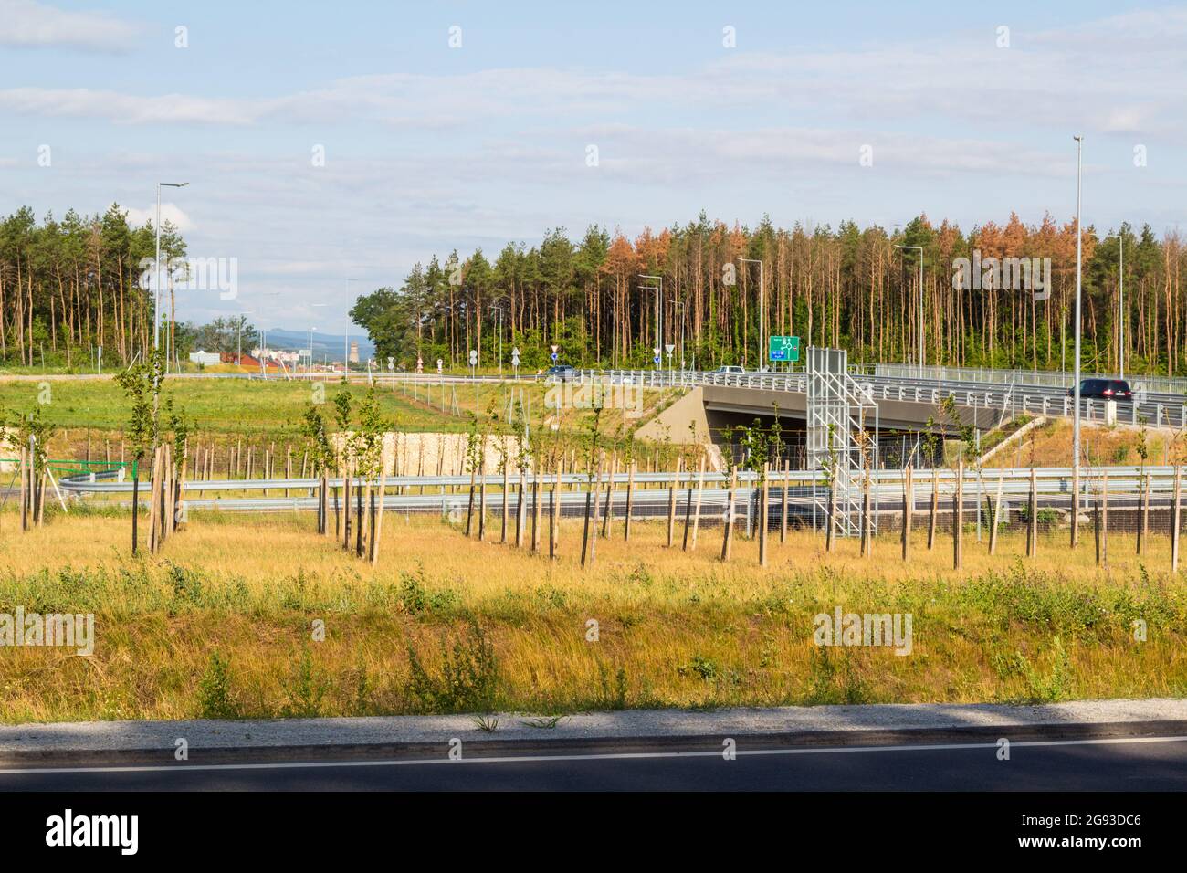 Motorway tree saplings hi-res stock photography and images - Alamy