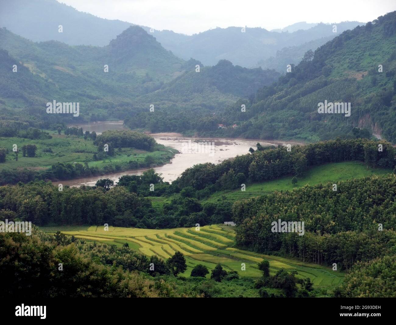 Laos rice fields hi-res stock photography and images - Alamy