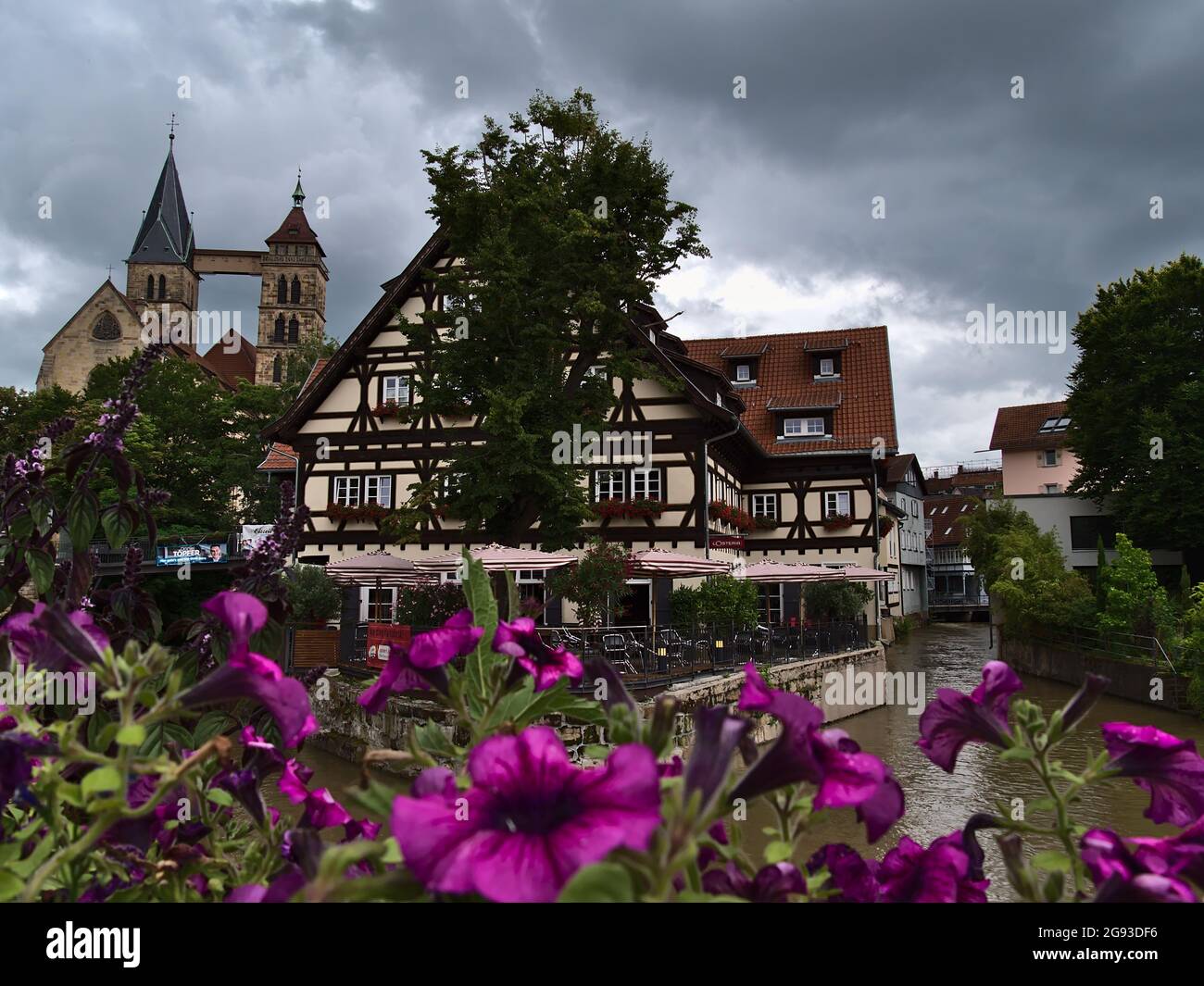 Purple flowers church in background hi-res stock photography and images ...