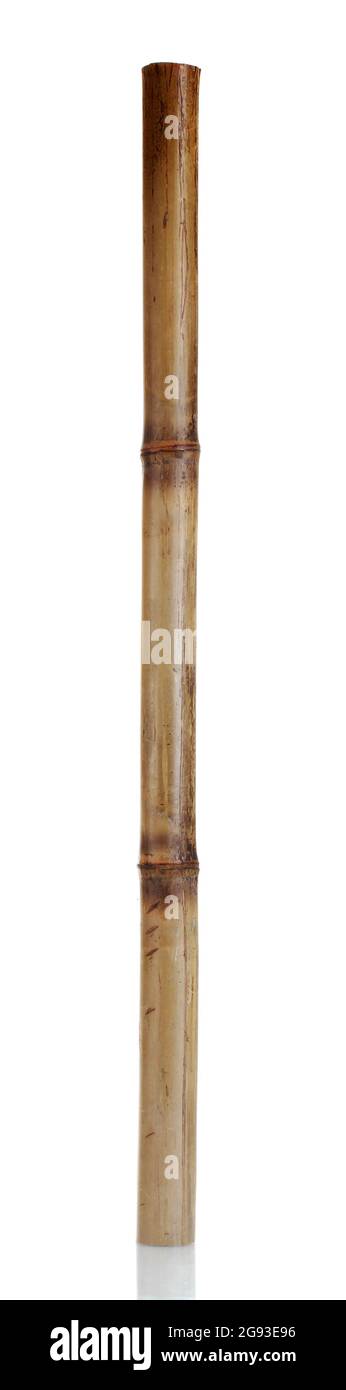 dry bamboo isolated on white Stock Photo - Alamy