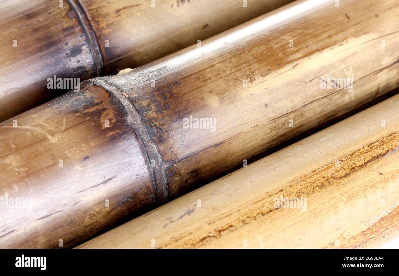 dry bamboo background Stock Photo - Alamy