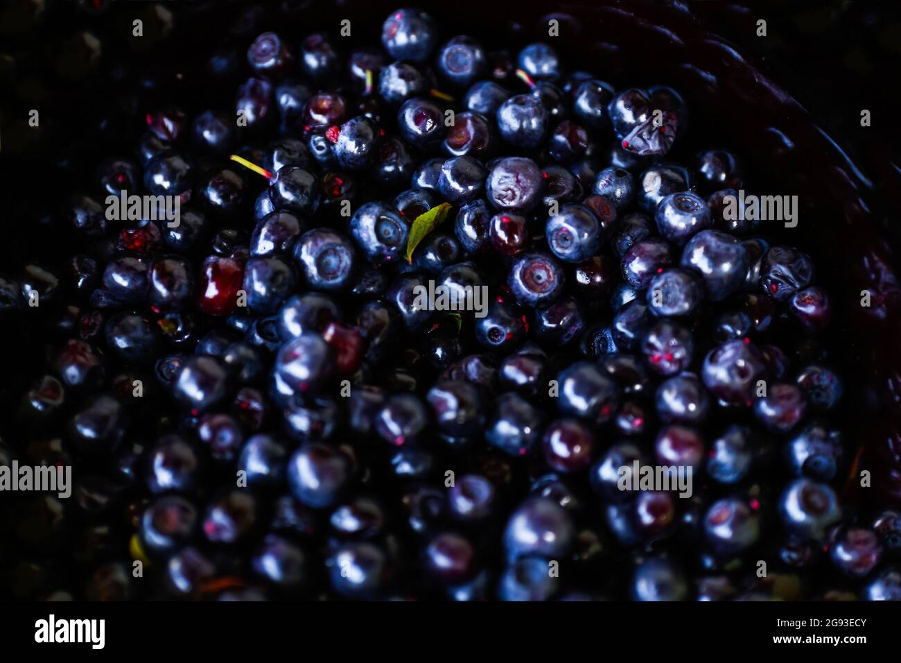Blueberries natural hi-res stock photography and images - Alamy