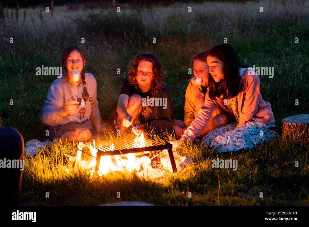 Family campfire, marsh mallows and bug hunting holidays. Hope Farm ...