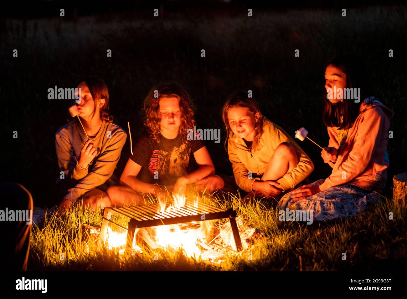Family campfire, marsh mallows and bug hunting holidays. Hope Farm ...