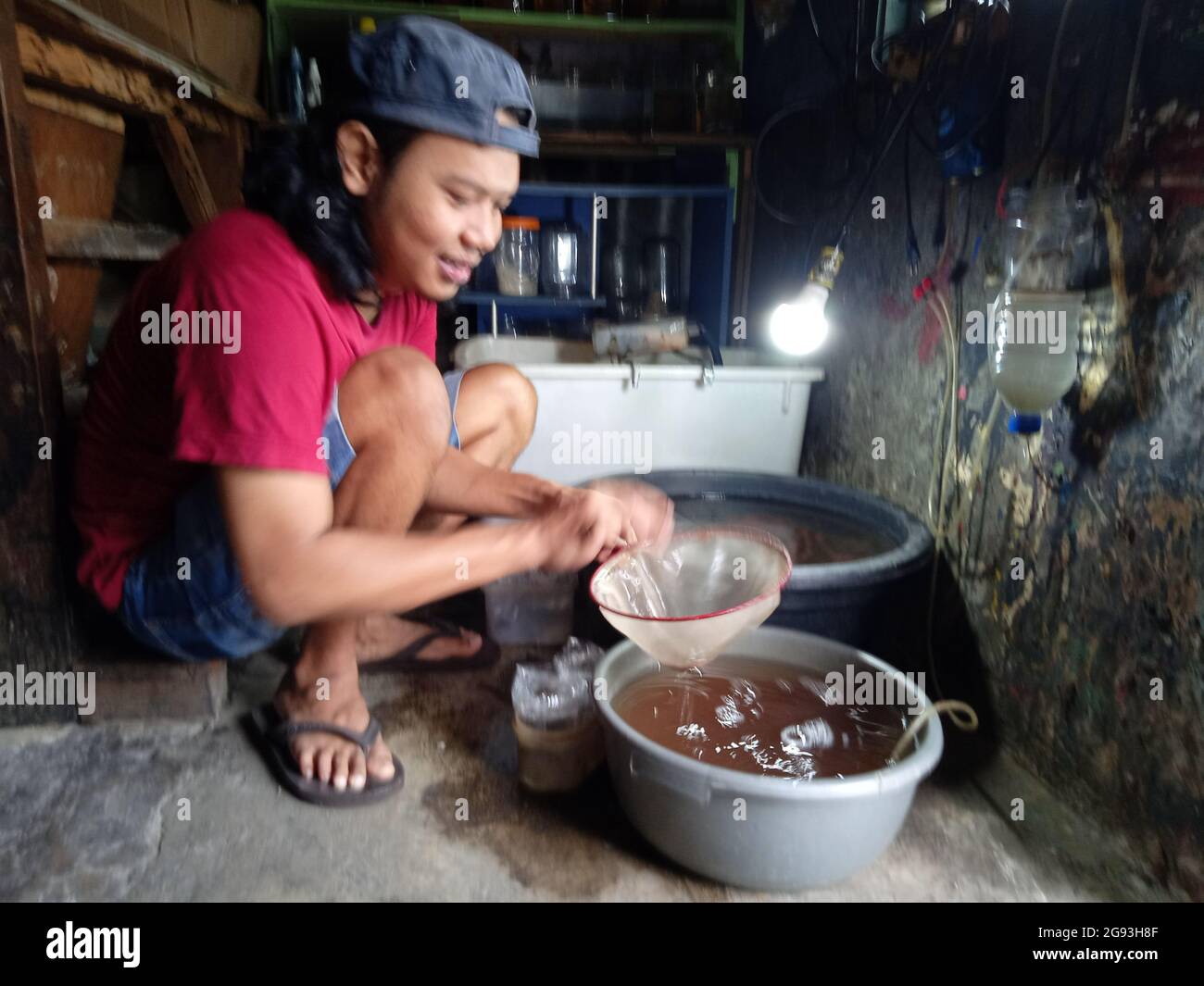 For Editorial Use Only, 21 July 2021, Betta Fish Food Seller, Kutir ...