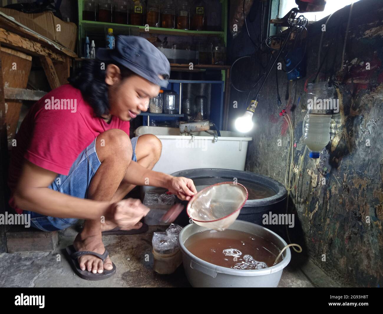 For Editorial Use Only, 21 July 2021, Betta Fish Food Seller, Kutir ...